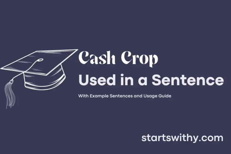 CASH CROP in a Sentence Examples: 21 Ways to Use Cash Crop
