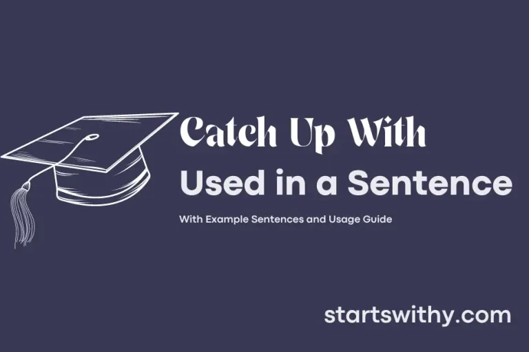 CATCH UP WITH in a Sentence Examples: 21 Ways to Use Catch Up With