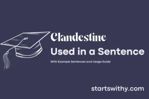 CLANDESTINE in a Sentence Examples: 21 Ways to Use Clandestine