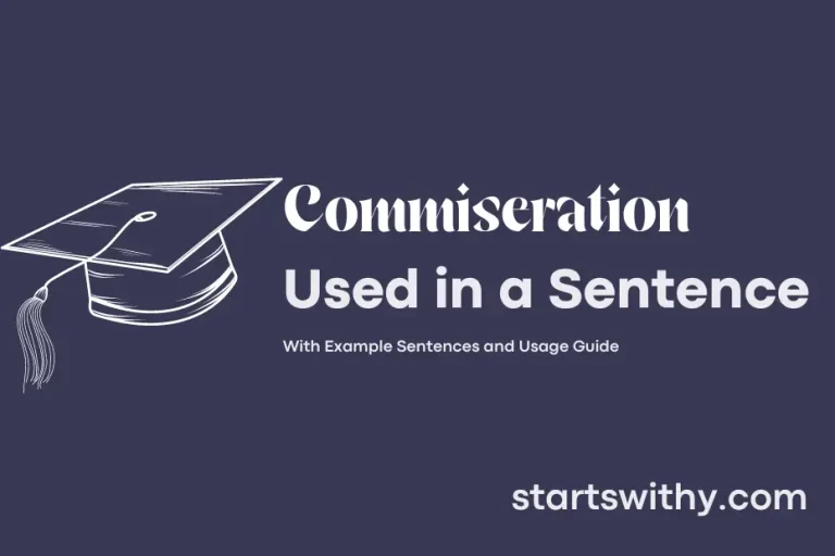 COMMISERATION in a Sentence Examples: 21 Ways to Use Commiseration