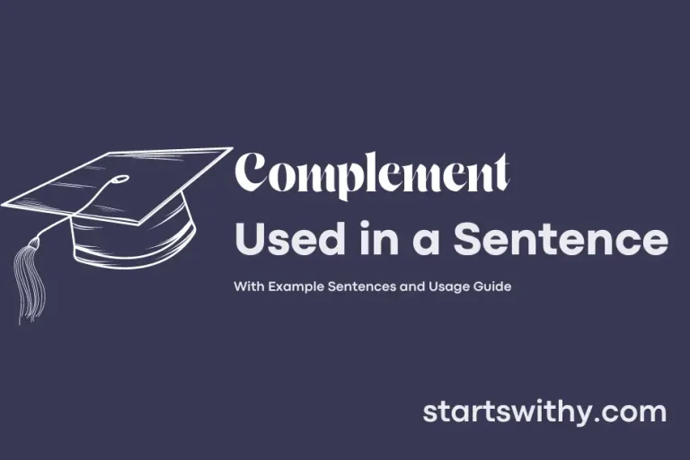 COMPLEMENT in a Sentence Examples: 21 Ways to Use Complement