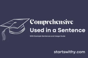COMPREHENSIVE in a Sentence Examples: 21 Ways to Use Comprehensive