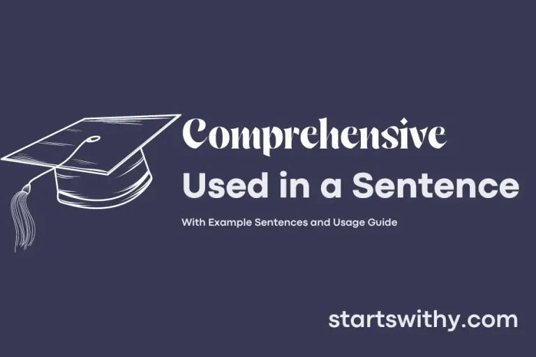 COMPREHENSIVE in a Sentence Examples: 21 Ways to Use Comprehensive