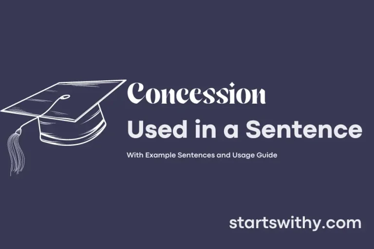 CONCESSION in a Sentence Examples: 21 Ways to Use Concession