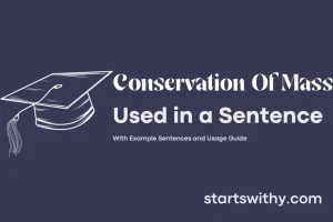 CONSERVATION OF MASS in a Sentence Examples: 21 Ways to Use ...