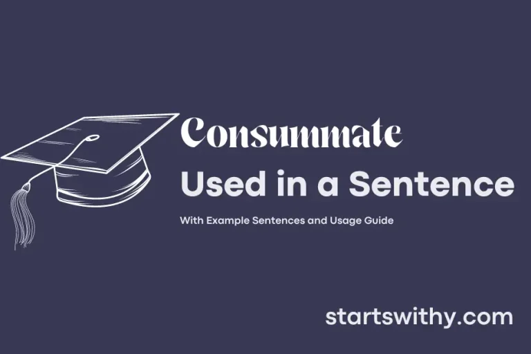 CONSUMMATE in a Sentence Examples: 21 Ways to Use Consummate