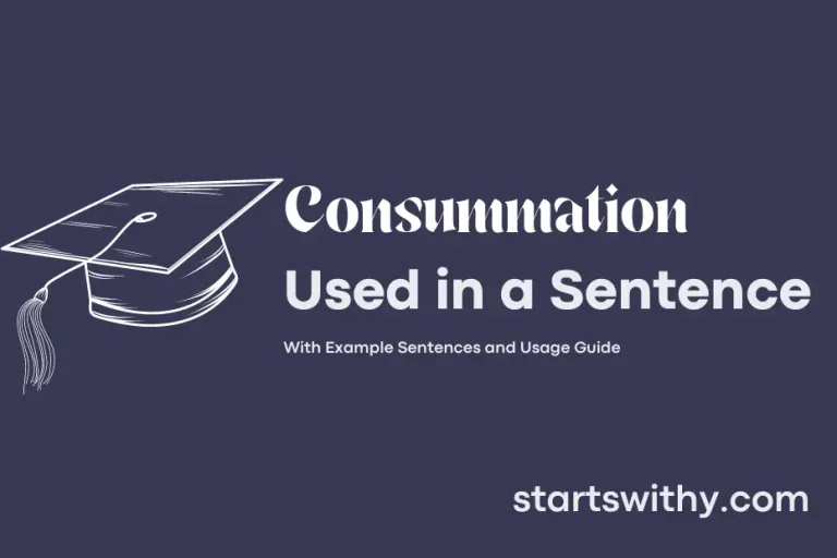 CONSUMMATION in a Sentence Examples: 21 Ways to Use Consummation