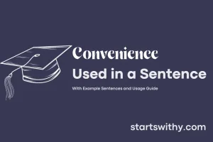 CONVENIENCE in a Sentence Examples: 21 Ways to Use Convenience
