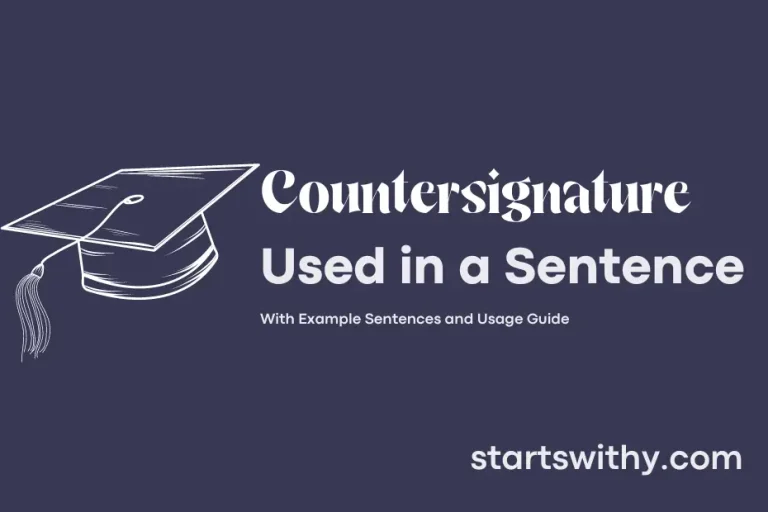 COUNTERSIGNATURE in a Sentence Examples: 21 Ways to Use Countersignature