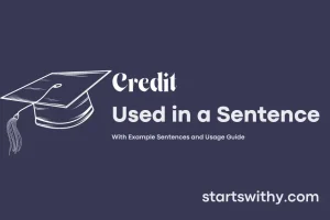 CREDIT in a Sentence Examples: 21 Ways to Use Credit