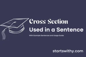 CROSS SECTION in a Sentence Examples: 21 Ways to Use Cross Section