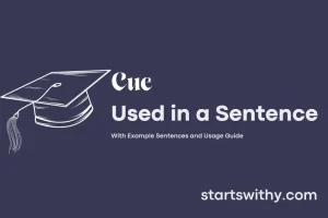 CUE in a Sentence Examples: 21 Ways to Use Cue