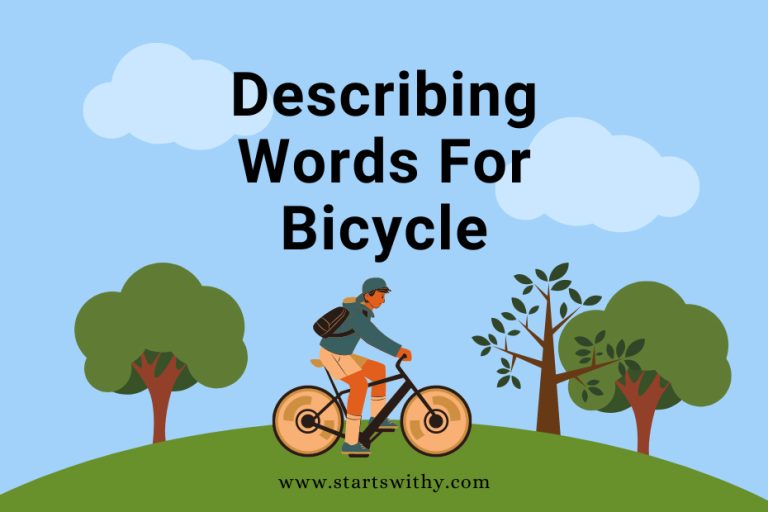 Bicycle Adjectives - Examples and Describing Words