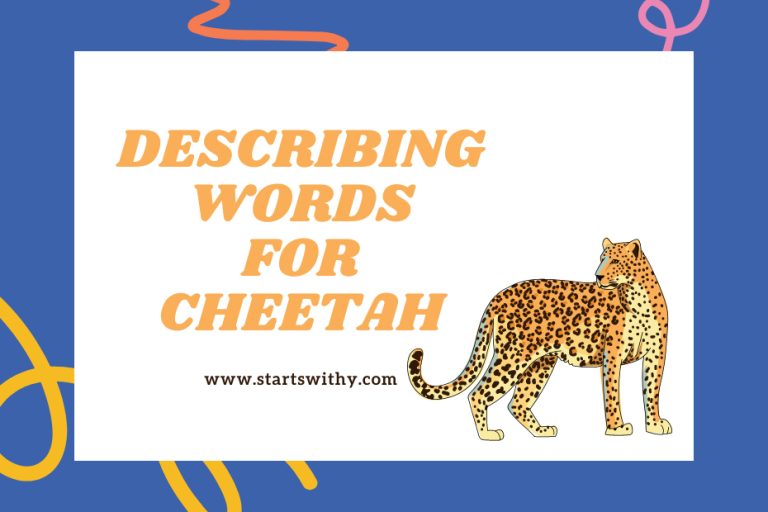 Cheetah Adjectives: Describing Words with Examples