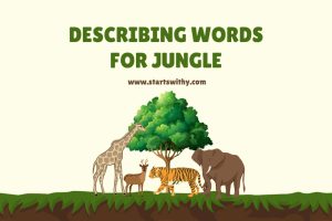 Discover Jungle Adjectives with Examples