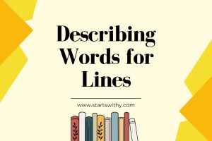 Adjectives for Lines: Examples & Descriptions