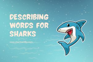 Shark Adjectives: Describing Words & Examples