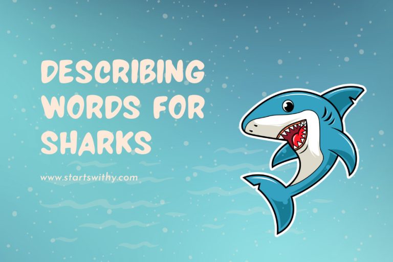 Shark Adjectives: Describing Words & Examples