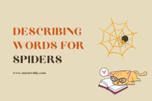 Describing Words for Spiders: Examples and Adjectives