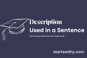 DESCRIPTION in a Sentence Examples: 21 Ways to Use Description