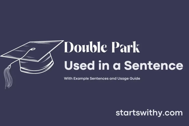 DOUBLE PARK in a Sentence Examples: 21 Ways to Use Double Park