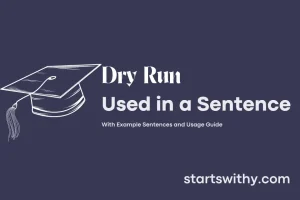 DRY RUN in a Sentence Examples: 21 Ways to Use Dry Run