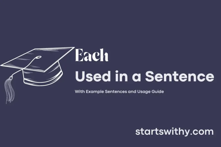 EACH in a Sentence Examples: 21 Ways to Use Each