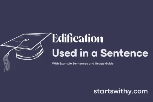 EDIFICATION in a Sentence Examples: 21 Ways to Use Edification