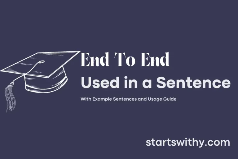 END TO END in a Sentence Examples: 21 Ways to Use End To End