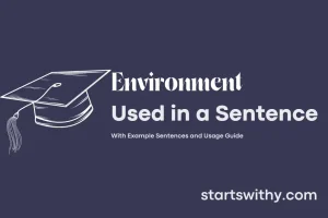 ENVIRONMENT in a Sentence Examples: 21 Ways to Use Environment