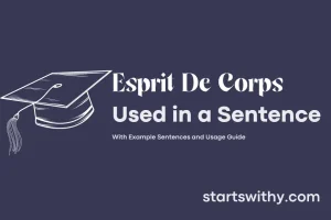 ESPRIT DE CORPS in a Sentence Examples: 21 Ways to Use Esprit De Corps