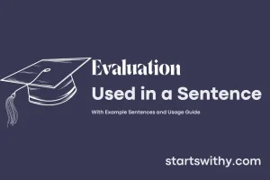 EVALUATION in a Sentence Examples: 21 Ways to Use Evaluation
