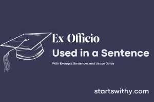 EX OFFICIO in a Sentence Examples: 21 Ways to Use Ex Officio