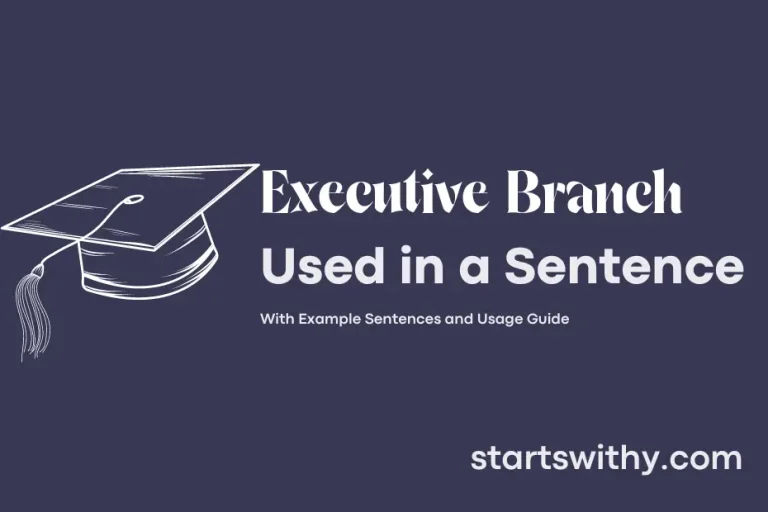 EXECUTIVE BRANCH in a Sentence Examples: 21 Ways to Use Executive Branch