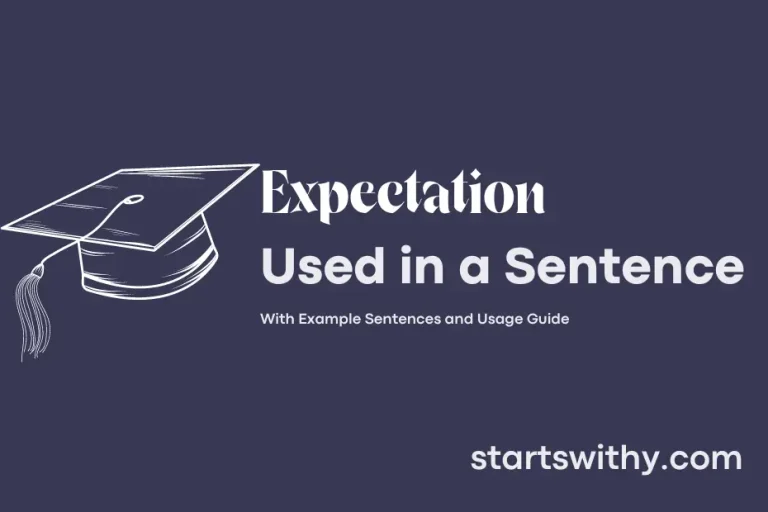 EXPECTATION in a Sentence Examples: 21 Ways to Use Expectation