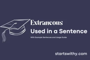 EXTRANEOUS in a Sentence Examples: 21 Ways to Use Extraneous