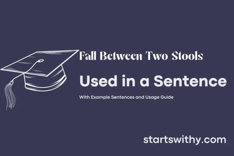FALL BETWEEN TWO STOOLS in a Sentence Examples: 21 Ways to Use Fall ...