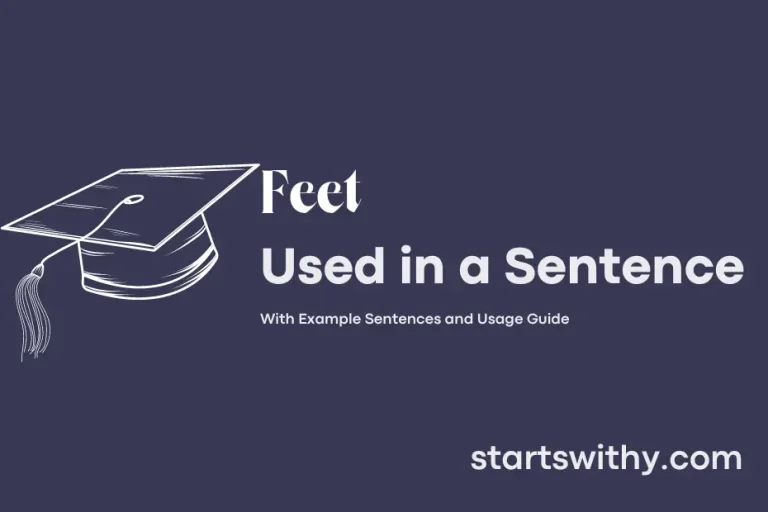 FEET in a Sentence Examples: 21 Ways to Use Feet