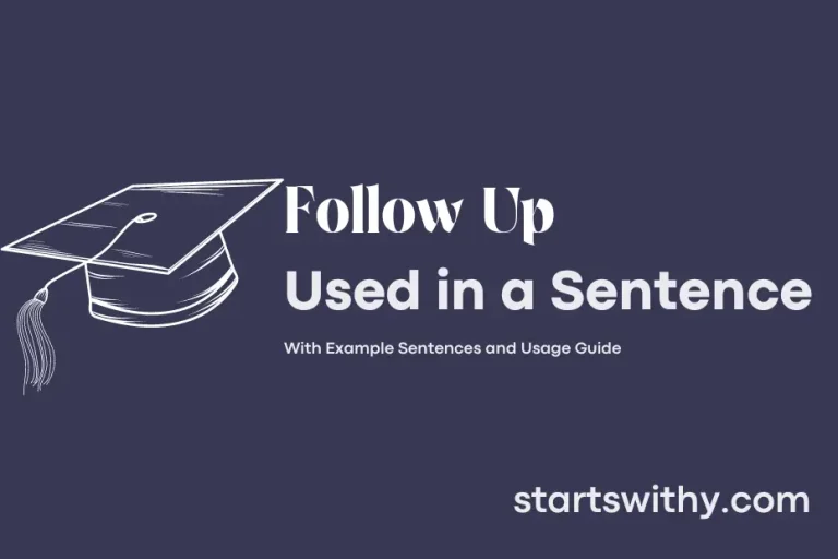 FOLLOW UP in a Sentence Examples: 21 Ways to Use Follow Up
