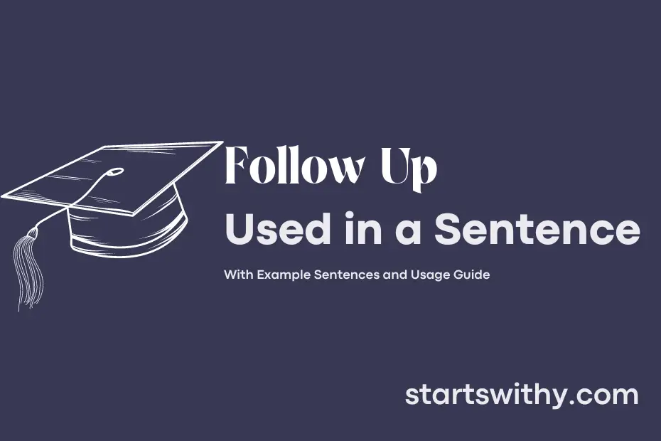 FOLLOW UP In A Sentence Examples 21 Ways To Use Follow Up