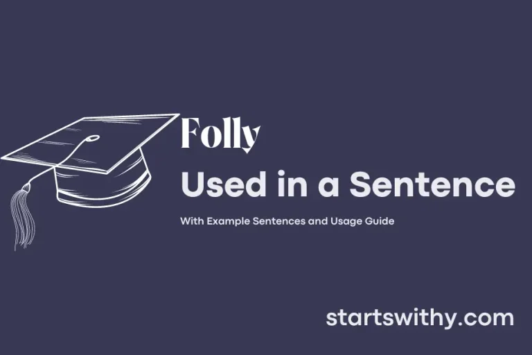 FOLLY in a Sentence Examples: 21 Ways to Use Folly