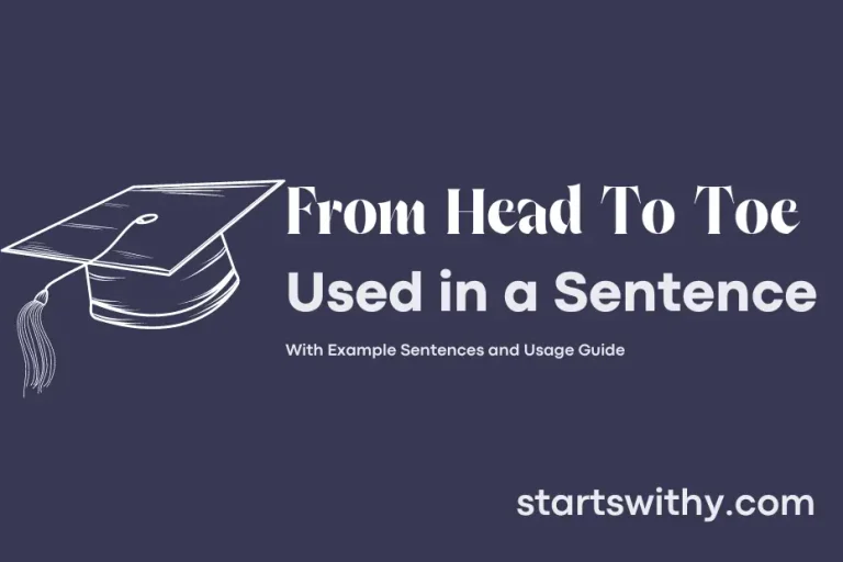 FROM HEAD TO TOE in a Sentence Examples: 21 Ways to Use From Head To Toe