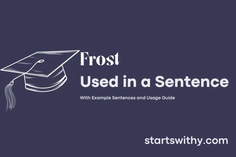 FROST in a Sentence Examples: 21 Ways to Use Frost