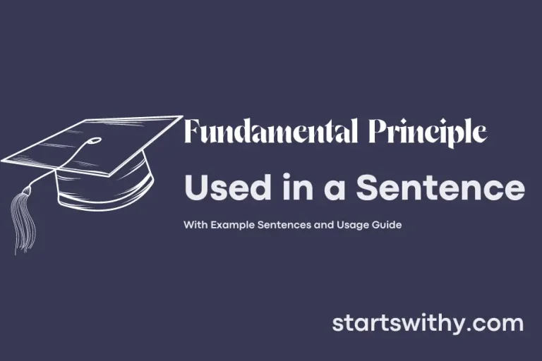 FUNDAMENTAL PRINCIPLE in a Sentence Examples: 21 Ways to Use ...