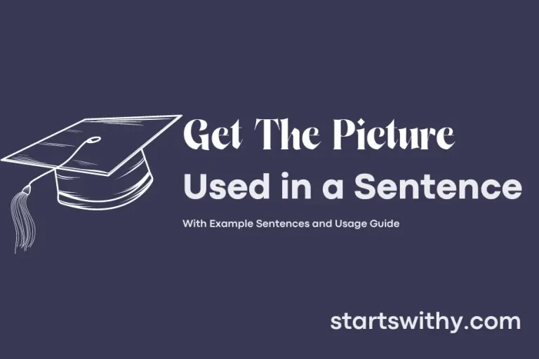 GET THE PICTURE in a Sentence Examples: 21 Ways to Use Get The Picture