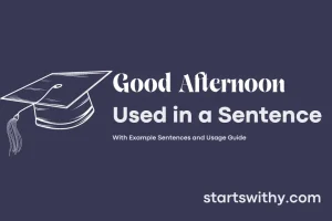 GOOD AFTERNOON in a Sentence Examples: 21 Ways to Use Good Afternoon