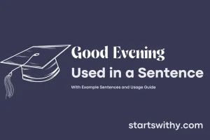 GOOD EVENING in a Sentence Examples: 21 Ways to Use Good Evening