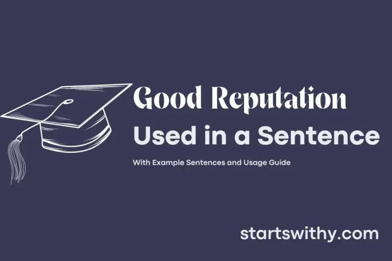GOOD REPUTATION in a Sentence Examples: 21 Ways to Use Good Reputation