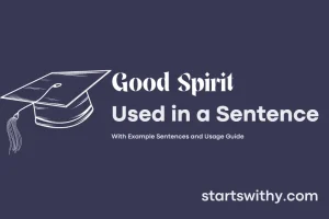 GOOD SPIRIT in a Sentence Examples: 21 Ways to Use Good Spirit