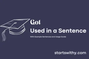 GOT in a Sentence Examples: 21 Ways to Use Got